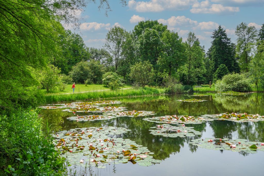 Ontdek natuurpareltjes bij Utrecht: van Bomenmuseum tot Historische ...